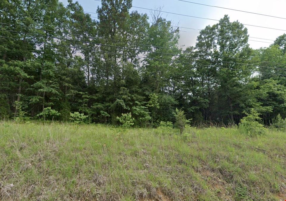 0 Blue Bird Rd, Fall Of Rough, KY 40119 | CommercialSearch.com