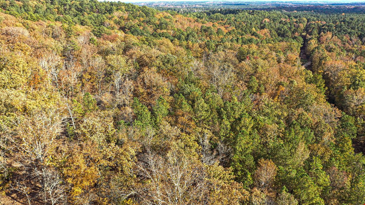 Hephzibah Church Road, Hephzibah, GA 30817 | CommercialSearch.com