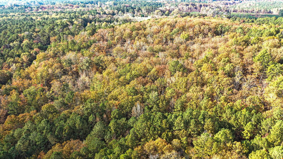 Hephzibah Church Road, Hephzibah, GA 30817 | CommercialSearch.com