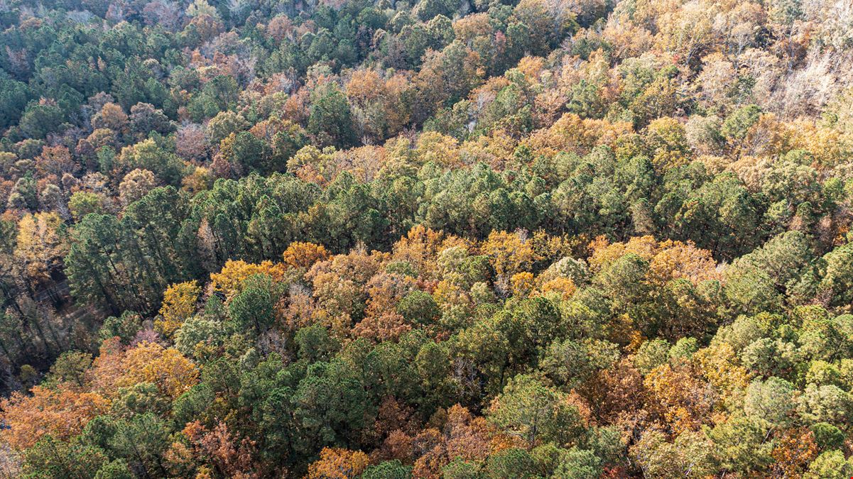 Hephzibah Church Road, Hephzibah, GA 30817 | CommercialSearch.com