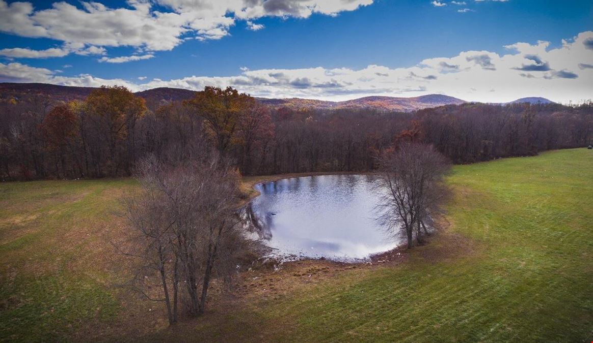 Stormville Flea Market - Hudson Valley, NY - 416-428 Route 216 ...